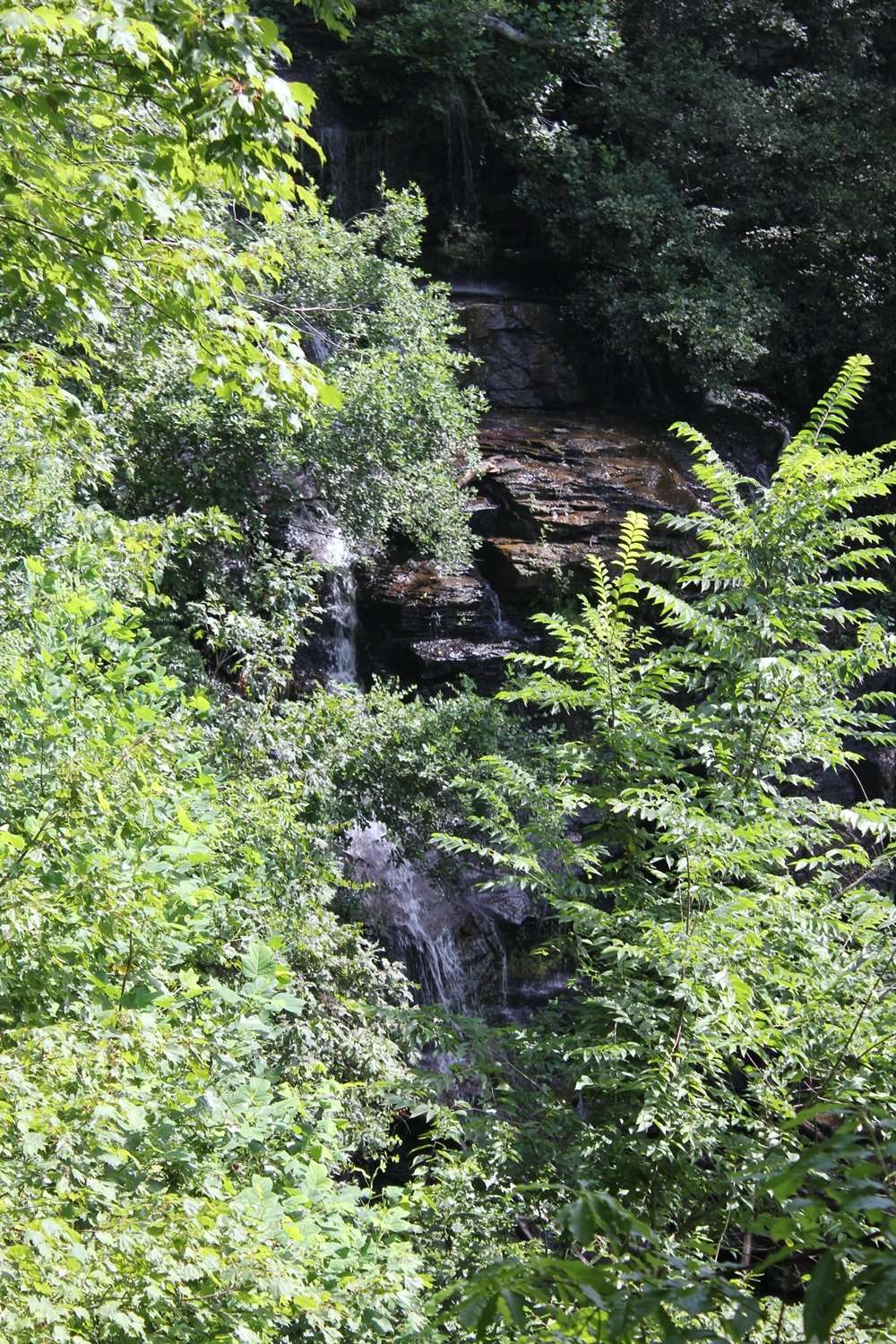 Stumphouse Tunnel and Issaqueena Falls | January 22, 2019